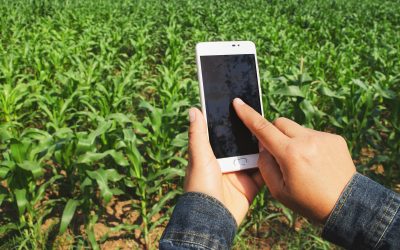 Are You Giving Farmers the Information they Need? - Millennium Research